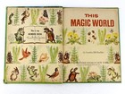 This Magic World Cynthia Koehler Wonder Books Vintage Childrens Book ...
