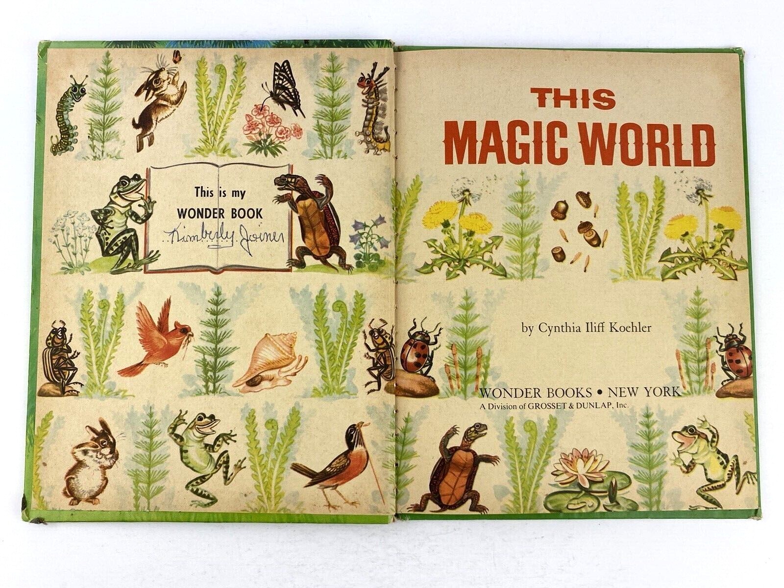 This Magic World Cynthia Koehler Wonder Books Vintage Childrens Book ...