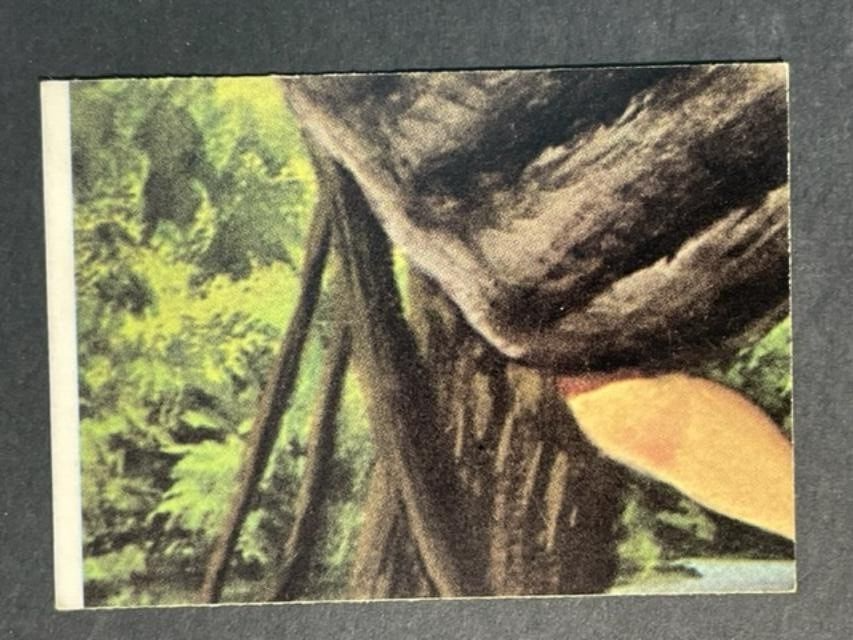 VINTAGE 1965 RKO General Inc. - KING KONG # 3 - NM-MT Cond | eBay