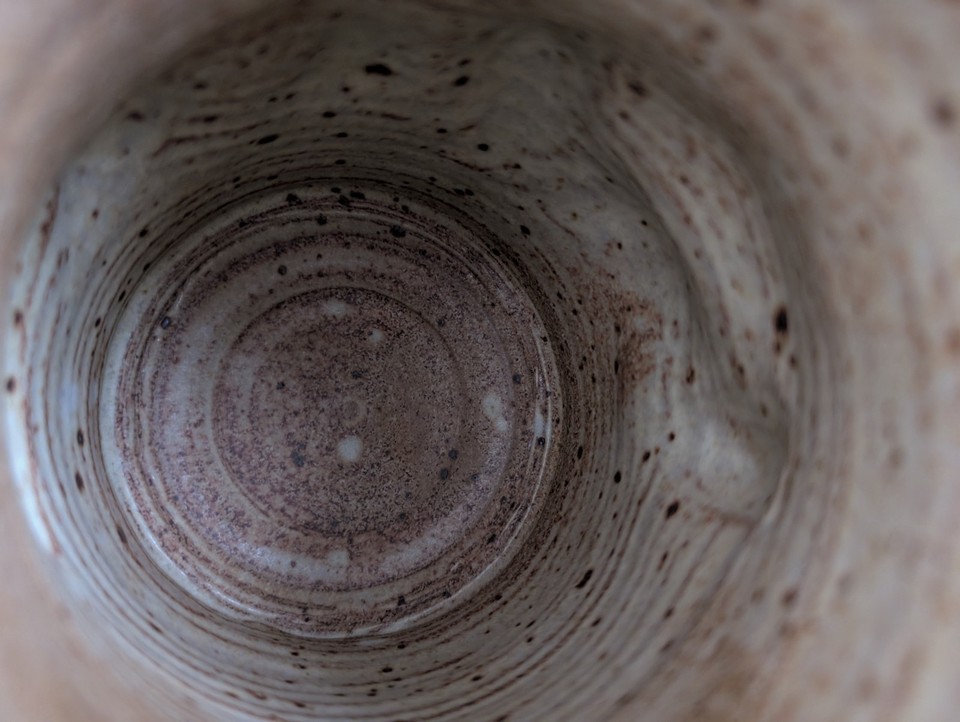 Hodag pottery stein mug 3D mythical creature folklore Rhinelander ...