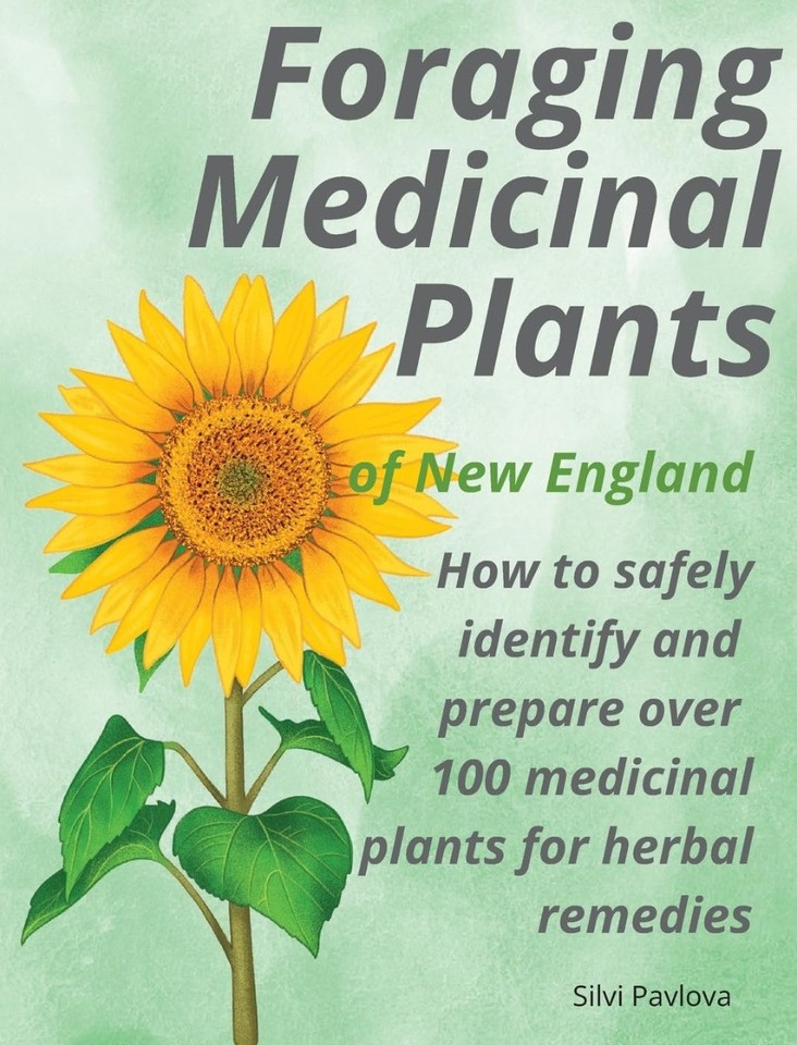 Foraging Medicinal Plants of New England: How to safely identify and ...