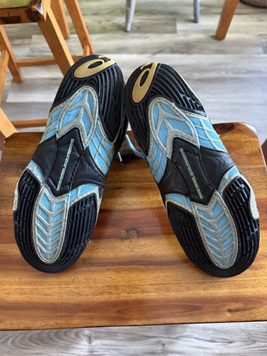 Dan Gable Ultimate Wrestling Shoes Size 10.5 | eBay