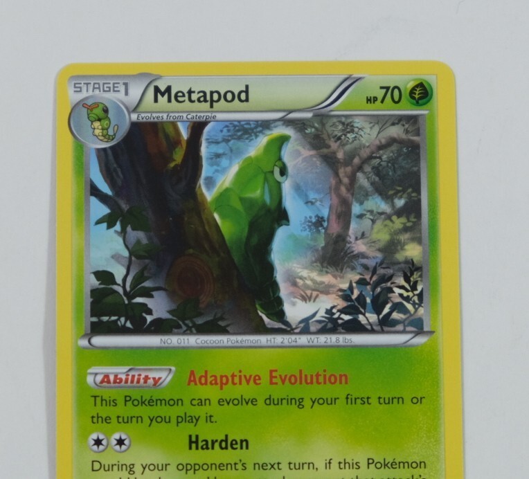 Pokémon TCG Metapod Generations 4/83 Regular Uncommon | eBay