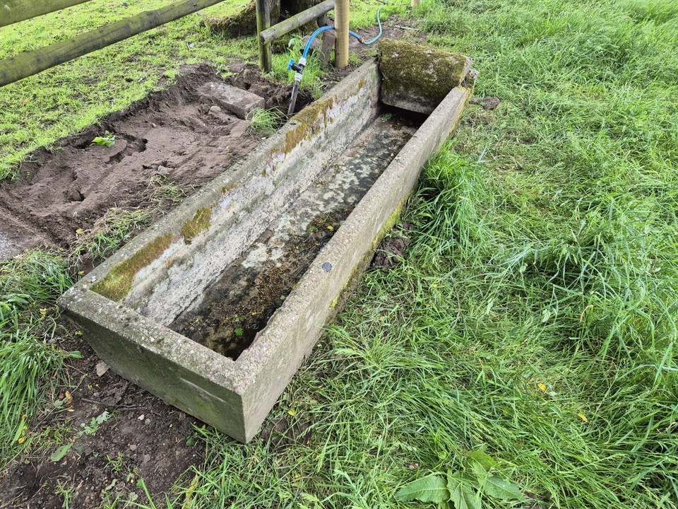 Field Water Trough / Ornate Garden Planter | eBay UK