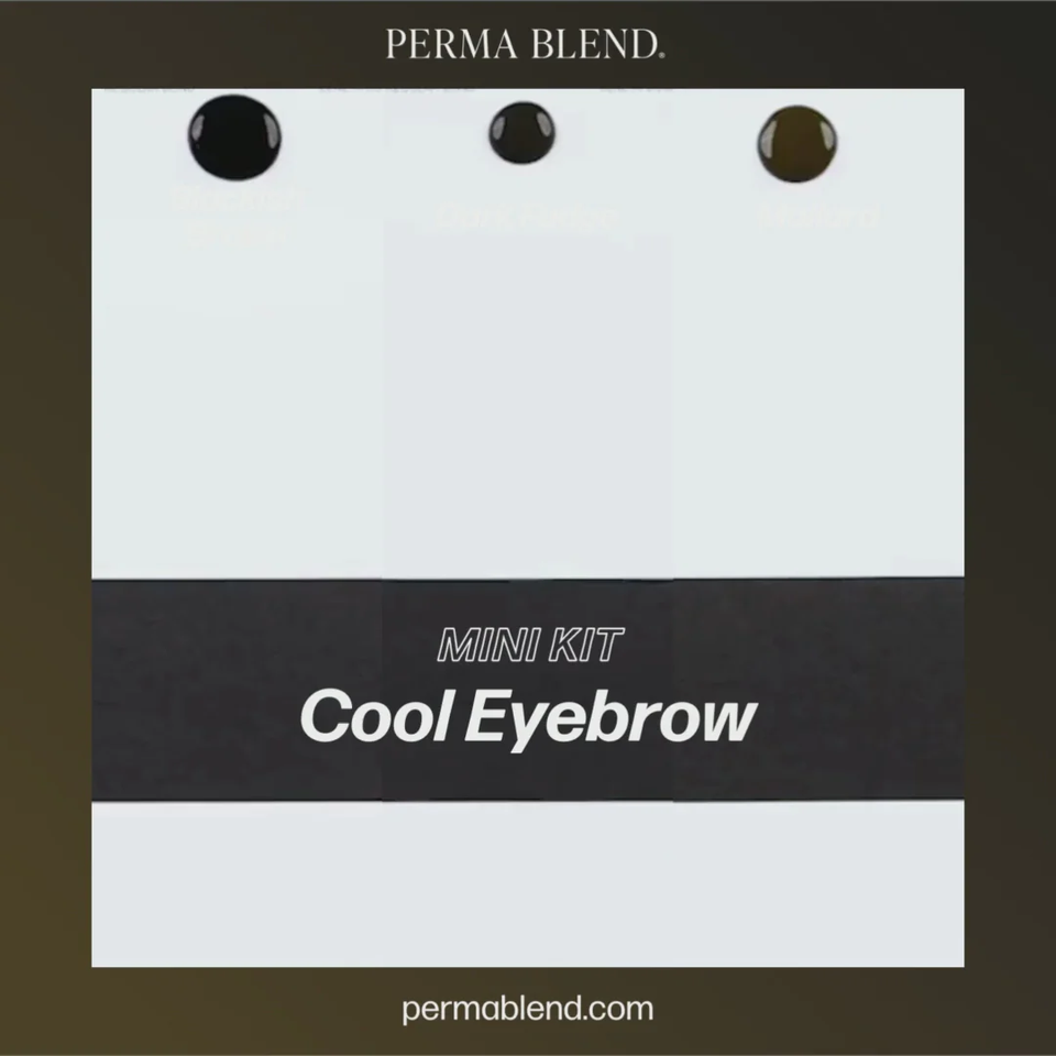 PERMA BLEND Set Kit Permanent Makeup Microblading Pigments Permablend ...