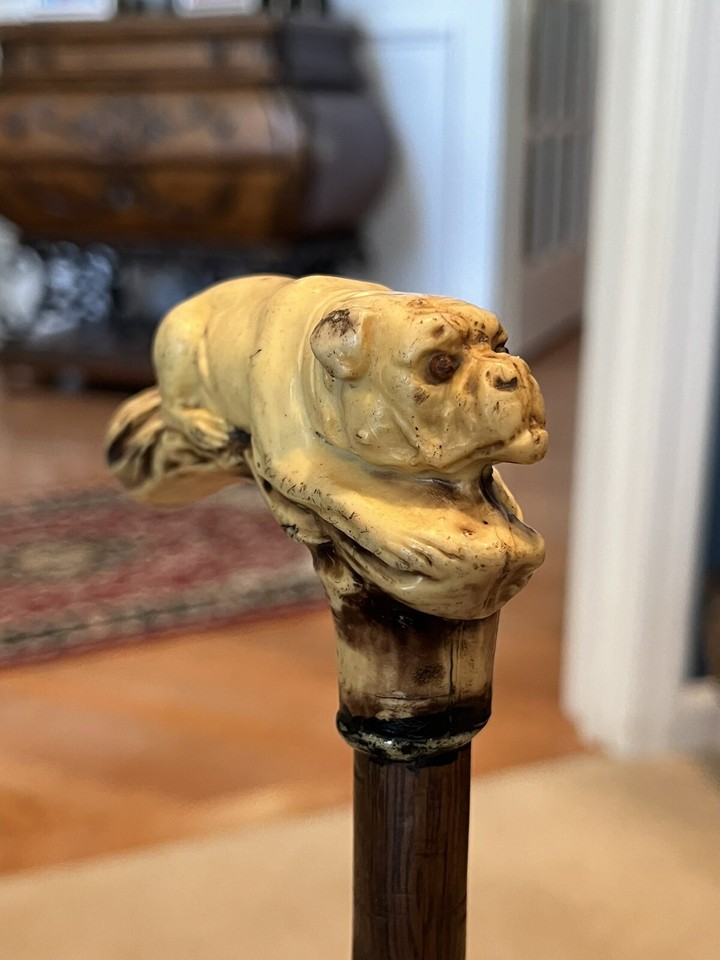 Vintage Carved Wood Coiled Snake Swagger Stick/ Cane w/ Molded Bulldog ...