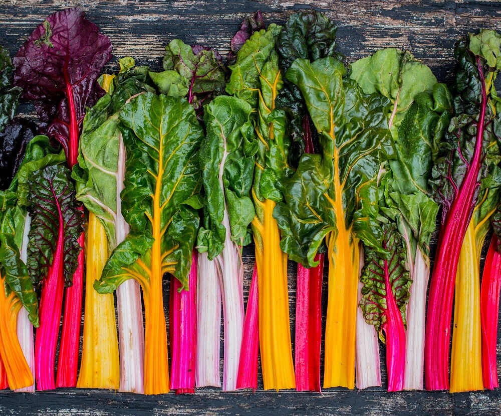 Rainbow Swiss Chard Seeds | Heirloom & Non-GMO | Fresh Garden Seeds | eBay
