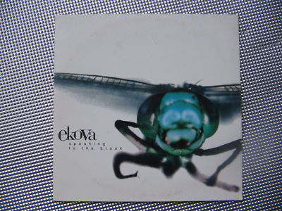 CD Promo Cardsleeve Ekova - Speaking To The Brook / Very Bon Condition ...
