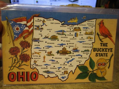 U2 Old OHIO Chrome Postcard State Cartoon Map Buckeye Tree Flower Bird ...