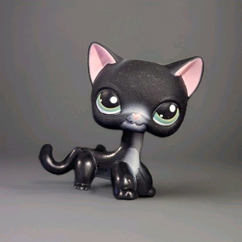 Authentic Littlest Pet Shop #336 Shorthair Cat / Original Hasbro LPS ...
