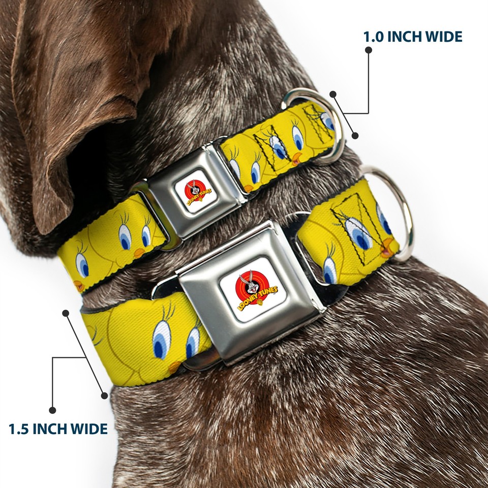 Dog Collar LTA-Looney Tunes Logo White Tweety Bird Expressions Yellow ...