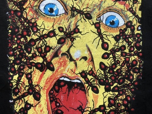 Pestilence Vintage Band T Morbid Angel Bolt Thrower Cannibal Corpse ...