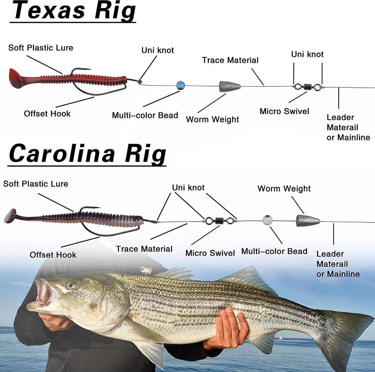 Fishing Rigs Carolina And Texas Texas Rig Vs Carolina Rig: What're The