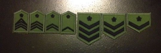 JGSDF JAPAN GROUND SELF DEFENSE FORCE SUBDUED SEW ON ENLISTED OFFICER ...