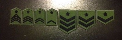 JGSDF JAPAN GROUND SELF DEFENSE FORCE SUBDUED SEW ON ENLISTED OFFICER ...