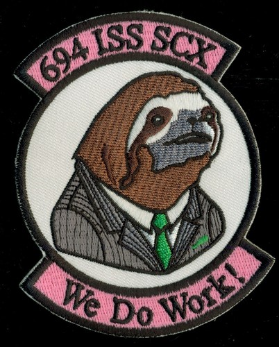USAF 694th ISS Intelligence Support Squadron Sloth Patch T-4 | eBay