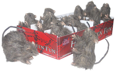 Realistic Furry Rat Prop – Spooky Halloween Decoration - Sunstar | eBay