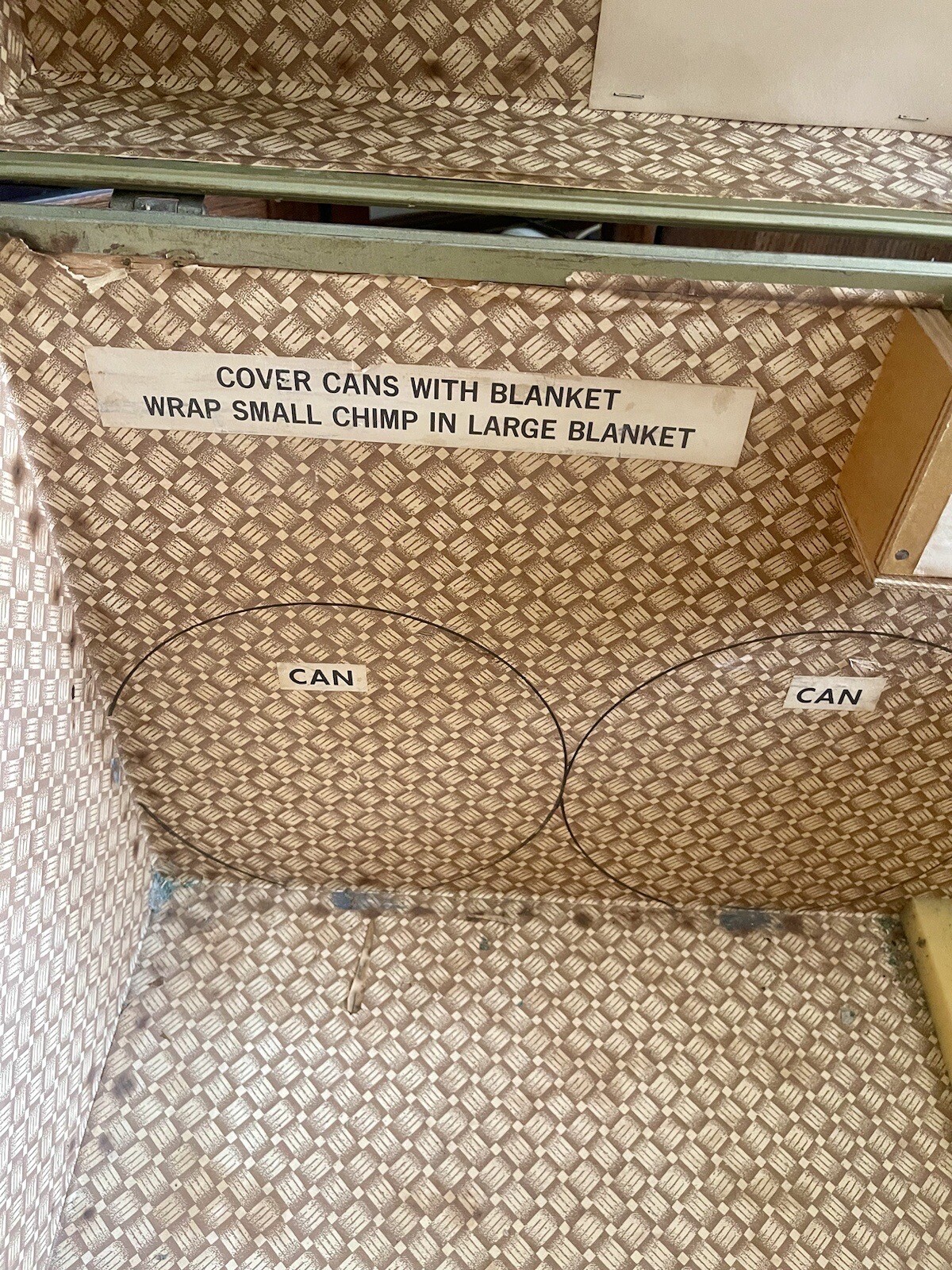 Iconic 100%Original Paul Stanley Lone Star “Curious George” Mechanical ...