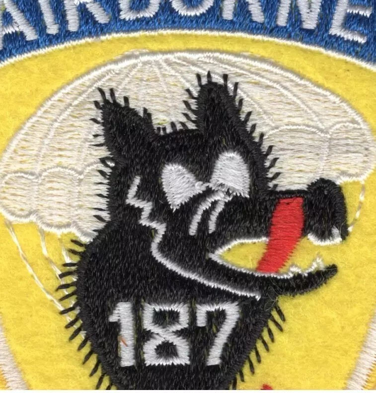 US ARMY PATCH 187th AIRBORNE INFANTRY REGIMENT PARAGLIDER INFANTRY ...