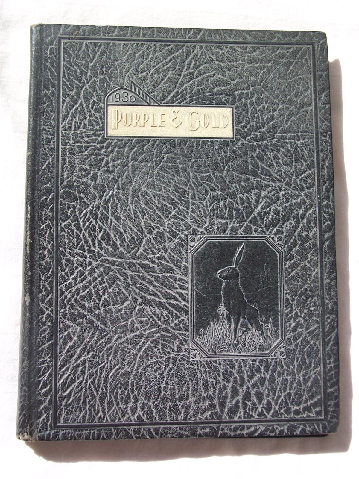 1930 MORRISON R. WAITE HIGH SCHOOL YEARBOOK TOLEDO, OHIO PURPLE AND ...