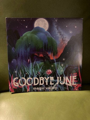 Goodbye June Magic Valley Vinyl LP Interscope Records Blues Rock 2017 ...