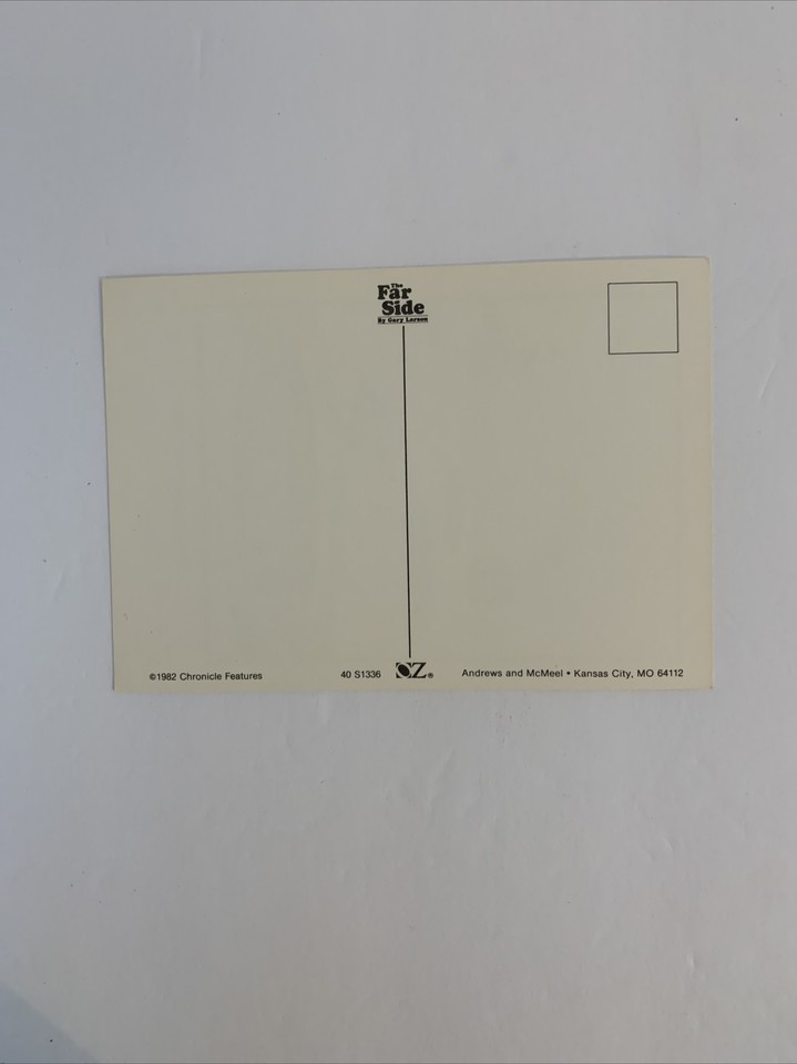 The Far Side Gary Larson Postcard Never Never Do This Rocket Comic 1982 ...