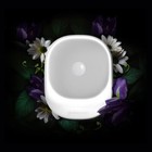 Freyr Stairway Hall LED Night Light USB-C Recharge Wireless, Auto On ...