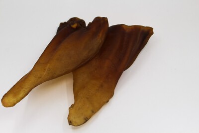 "100% Natural Beef Ears for Dogs | Natural Chew Treats | Dental Health ...