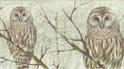 3 lose Servietten ~ Eule Uhu Kauz Vögel auf Ast | eBay.de