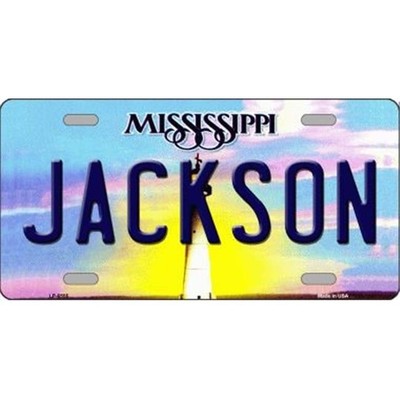 Smart Blonde LP-6555 Jackson Mississippi Novelty Metal License Plate | eBay