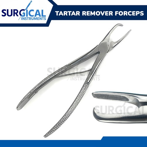 Tartar Remover Forceps Small 7" Dental Surgical Oral Hygiene Plaque ...