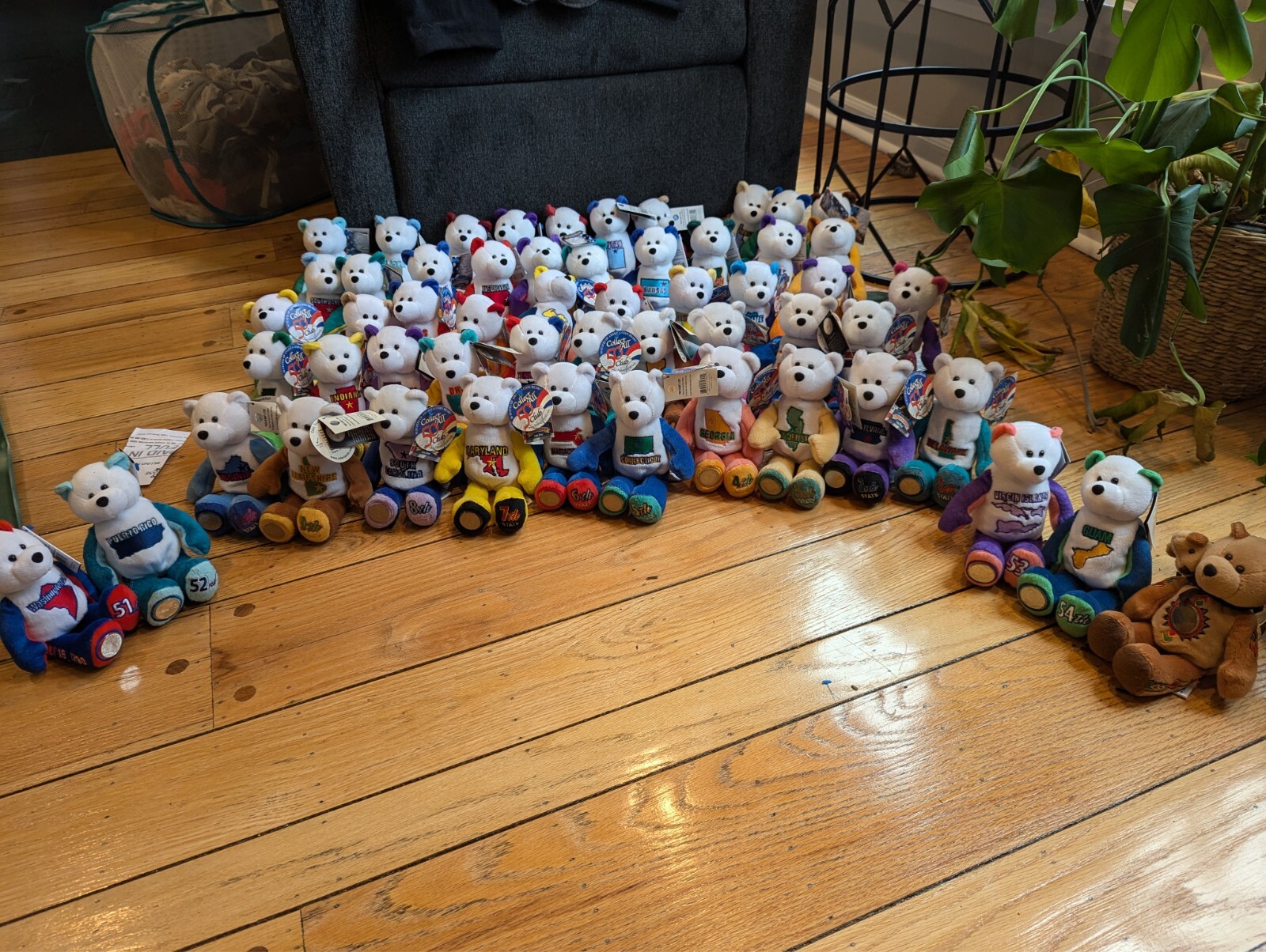 limited treasures state quarter bears | eBay