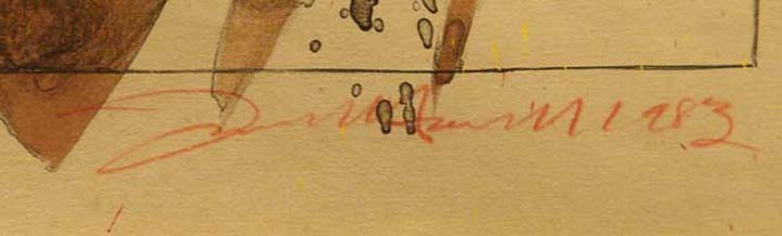 Frank Howell "Buffalo Woman" Fine Art w/custom frame Hand Signed Make ...