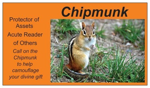 Lot- 5 Animal Guardians (totems) Positive Affirmation Cards | eBay