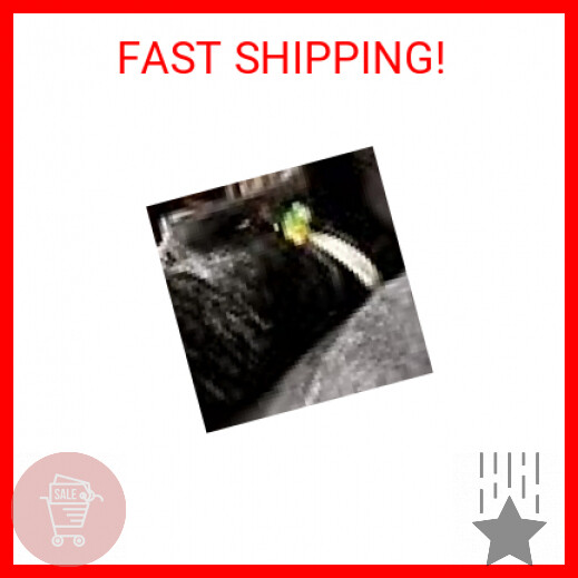 Hyper Pet Flying Series Fetching Dog Toys – Mini Duck Interactive Dog ...