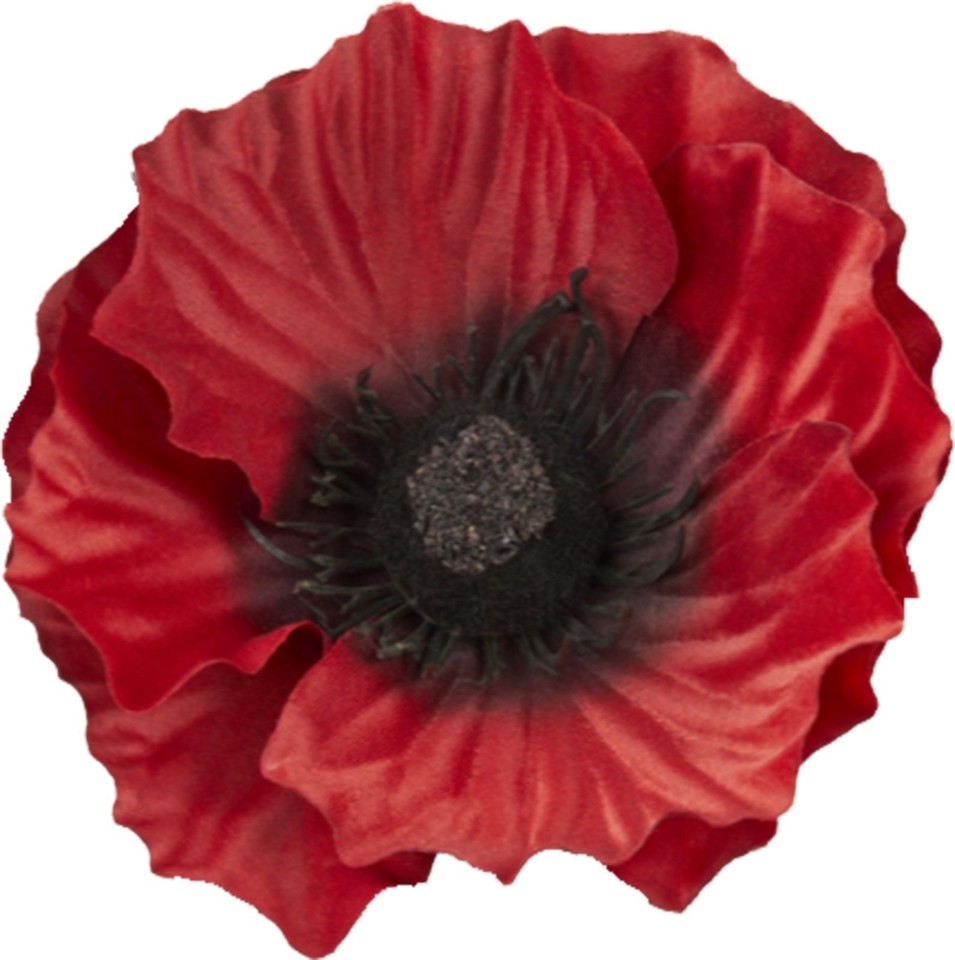 Red Poppy Flower Decals Car Sticker Remembrance Lest we Forget ...