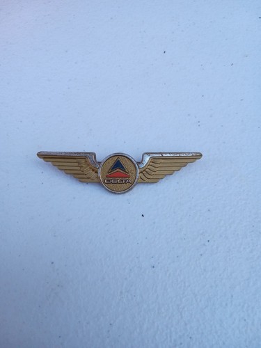 Bin1D vintage Rare pin- Delta Airlines Pin | eBay