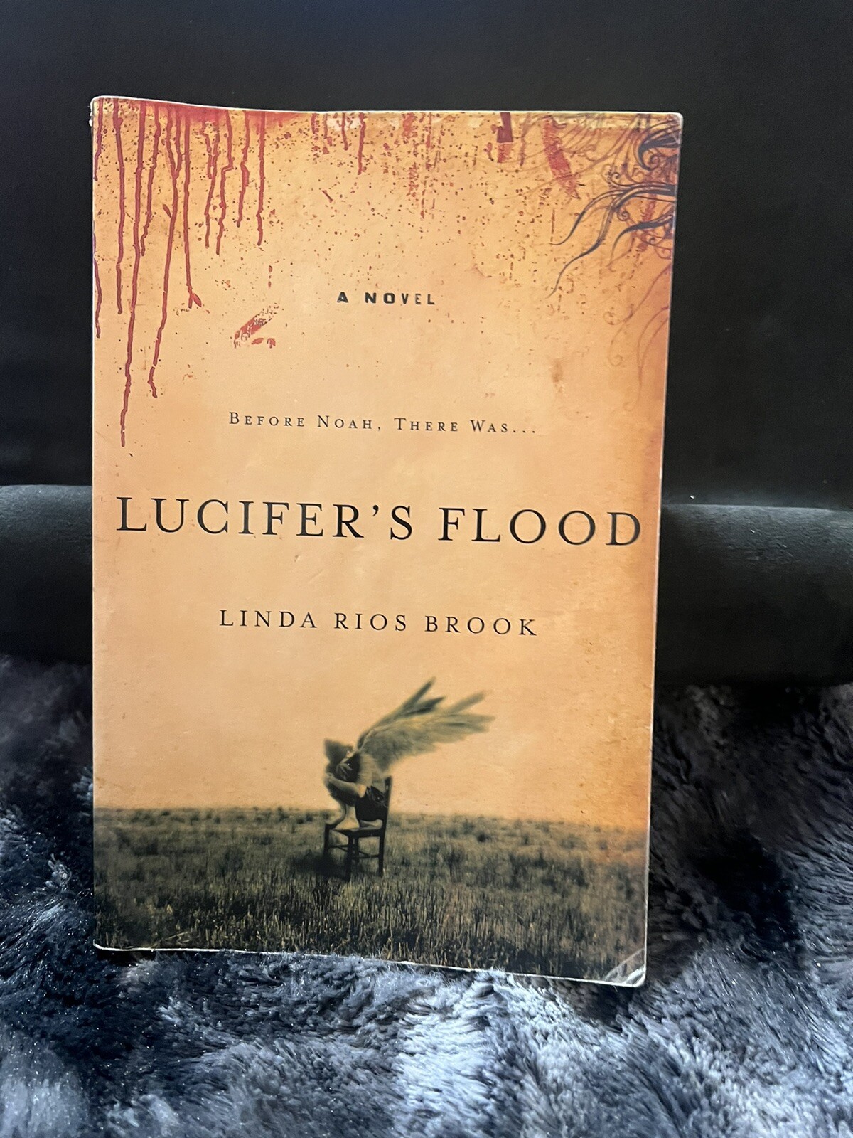 Lucifer's Flood by Linda Rios Brook (Hardcover) for sale online | eBay