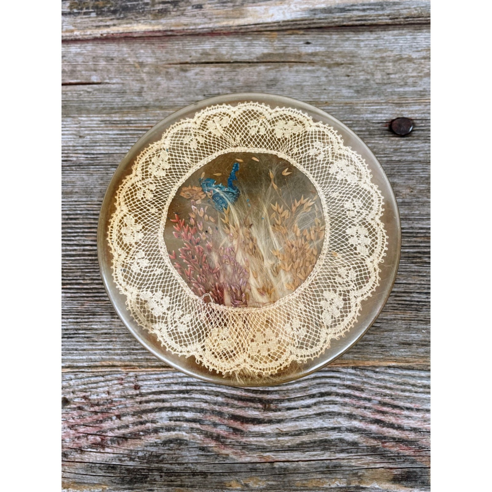 Antique 1930s Celluloid Powder Puff BOx Encased Lae, milkweed, flowers ...