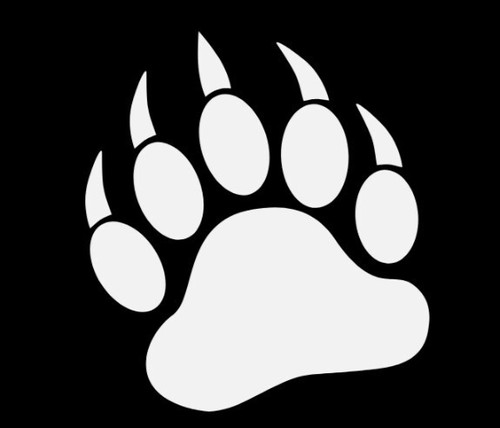 Tiger Paw Sticker Vinyl Decal - Wildcat Claws Print Pet Car Window ...