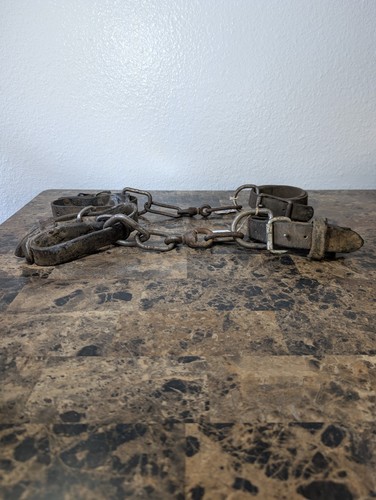 Vintage Western Cowboy Collectible Horse Hobbles Leather & Iron Chains ...