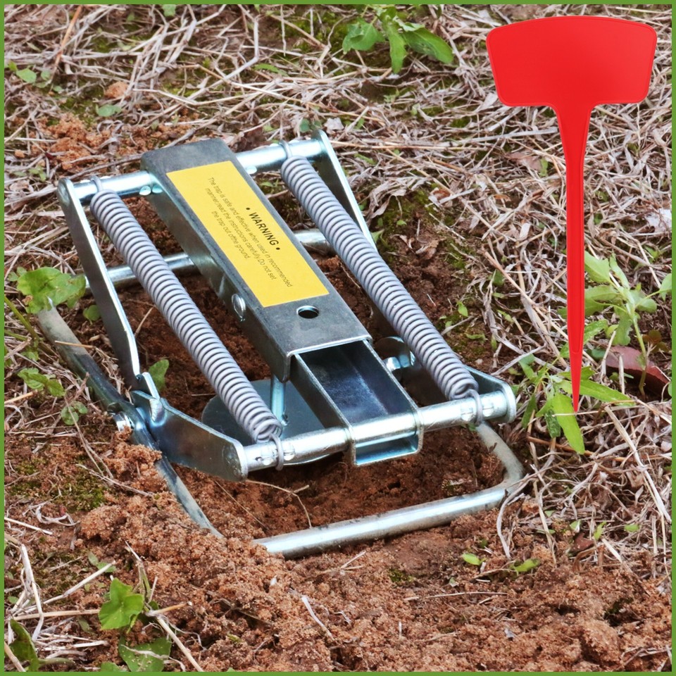 2X Easy to set Mole Trap control Rodents Traps Killer Mole scissor ...