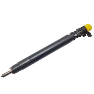 Fuel Injector EMBR00101D R00101DP 1980L3 for Delphi Fiat Ford Peugeot ...