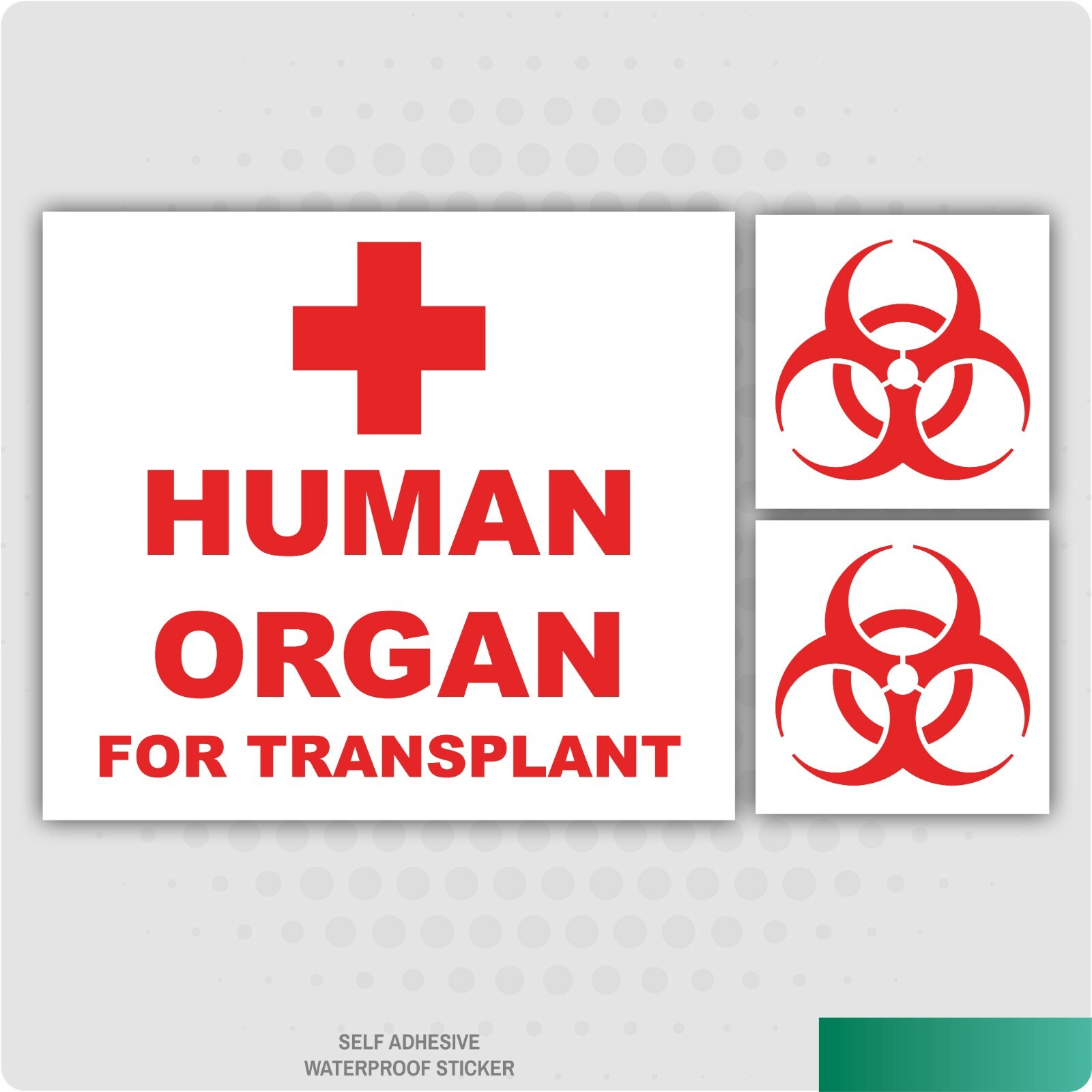 Human Organ for Transplant - Medical, Ambulance Car, Van, Laptop Decal ...