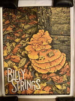 Billy Strings Poster Rochester NY 11/9/2022 Blue Cross Arena 423/450 ...