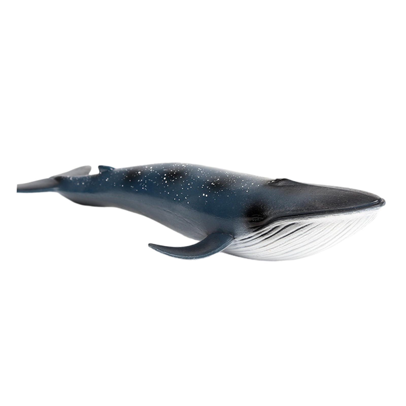 Whale Figures Toy Model Party Favors Blue Whale Toy Model for Girls ...