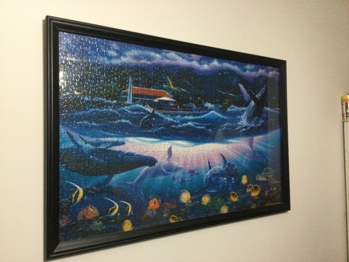 Maui photograph art Marine Life- Artist Steve Sundram | eBay