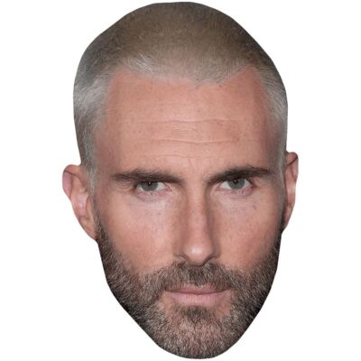 Adam Levine (Blonde Hair) Celebrity Mask, Flat Card Face | eBay UK