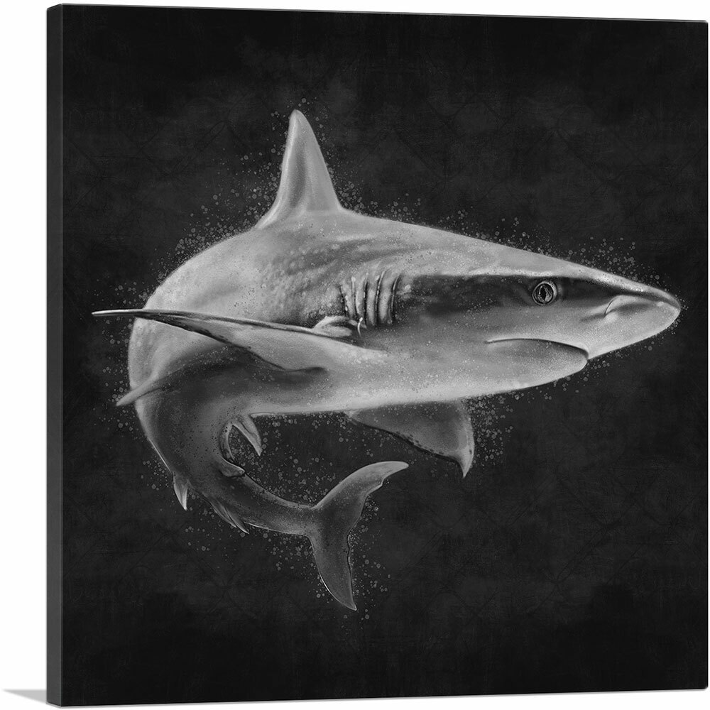 Mako Shark Drawings MAKO SHARK :: Behance