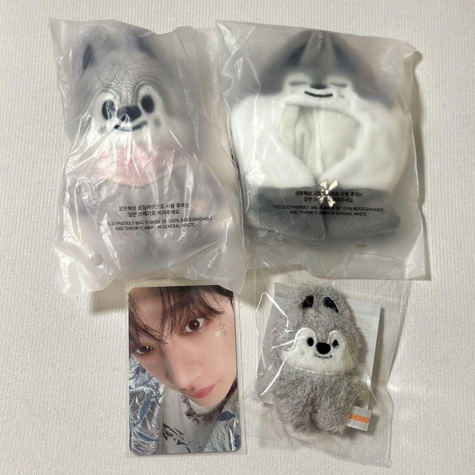 Stray Kids SKZOO Wolf Chan Bang Chan Plush Outfit Keyring Photocard Set ...